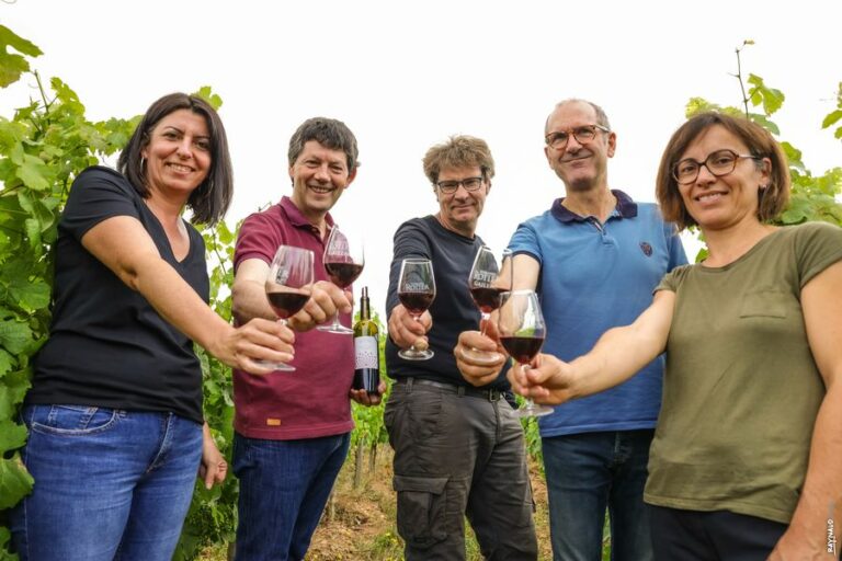 L'Âme rouge 2019 - Domaine Rotier